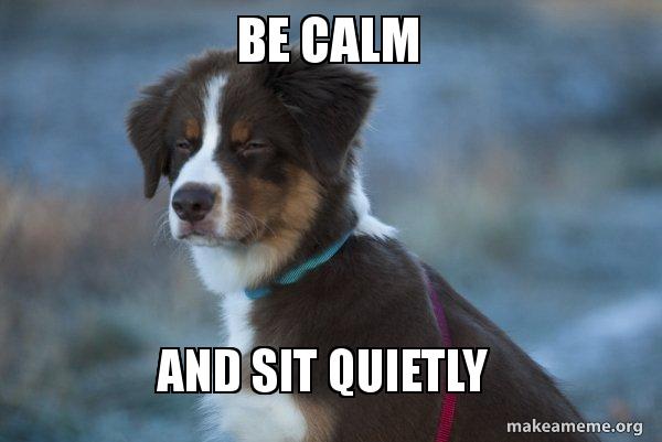 be calm and sit quietly - Unsure Dog Meme Generator