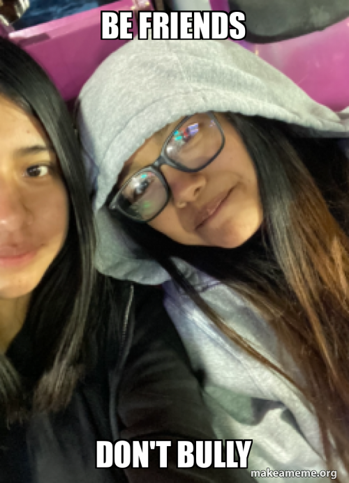 Be friends DOn't bully Meme Generator