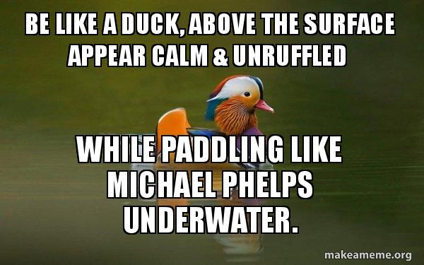 Be like a Duck, Above the surface appear calm & unruffled While ...