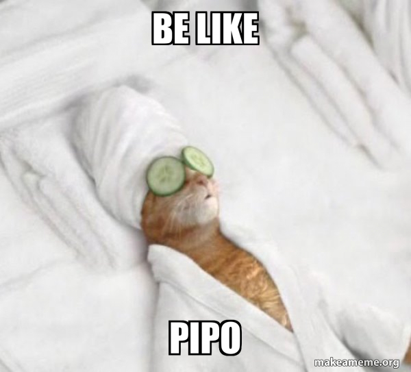 BE LIKE PIPO - Pampered Cat Meme Meme Generator