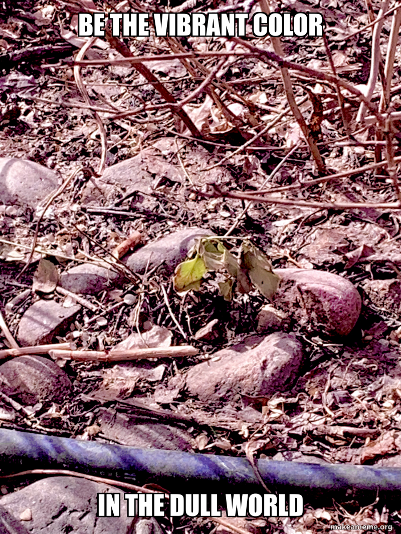 Be the Vibrant color In the Dull world Meme Generator