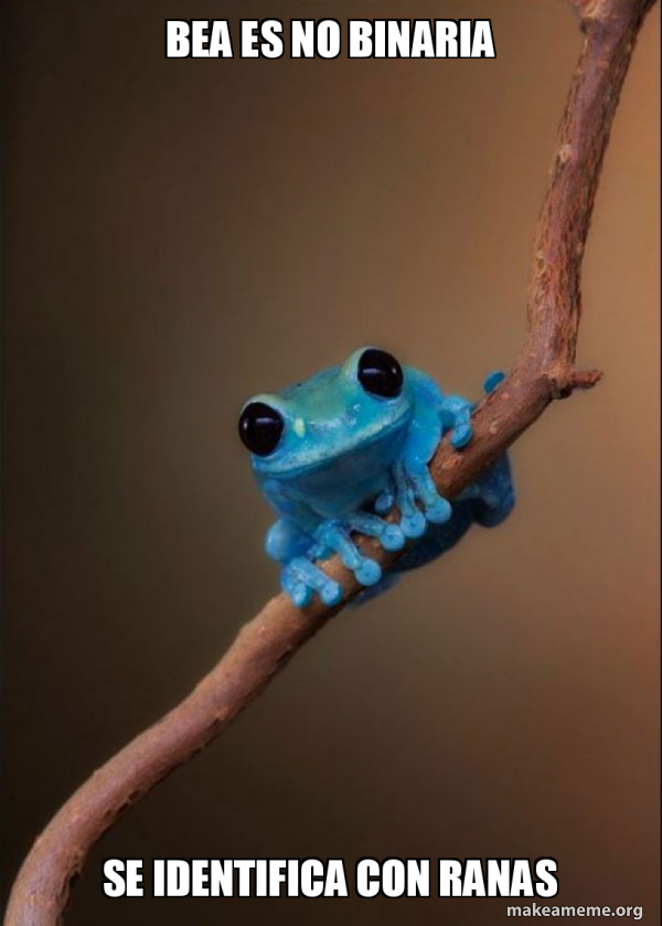 Memes Con Ranas Aquí Tienes Algunos Memes De Ranas Para Alegrarte El