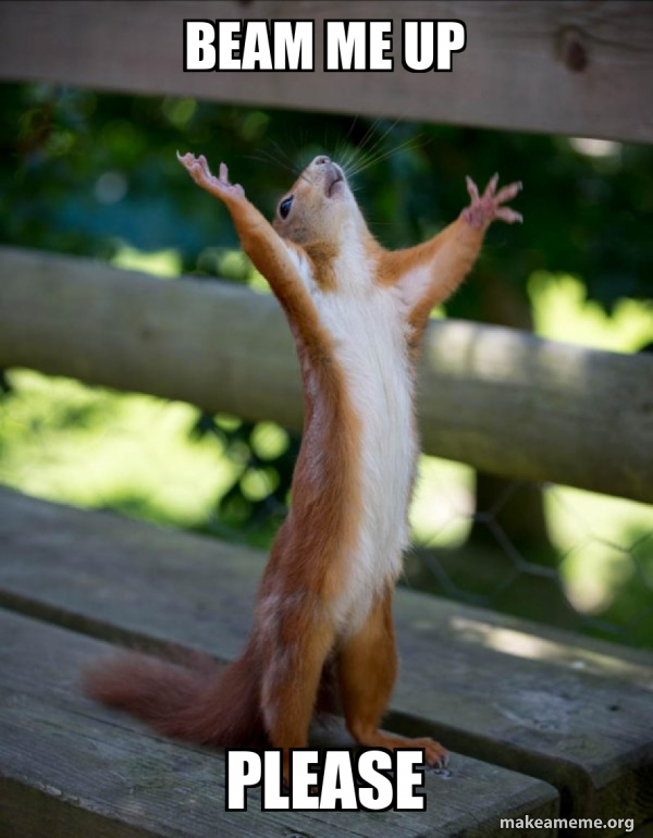 Beam Me Up Please - Happy Squirrel Meme Generator