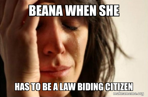 Beana when she has to be a law biding citizen - First World Problems ...