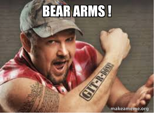 BEAR ARMS ! Meme Generator