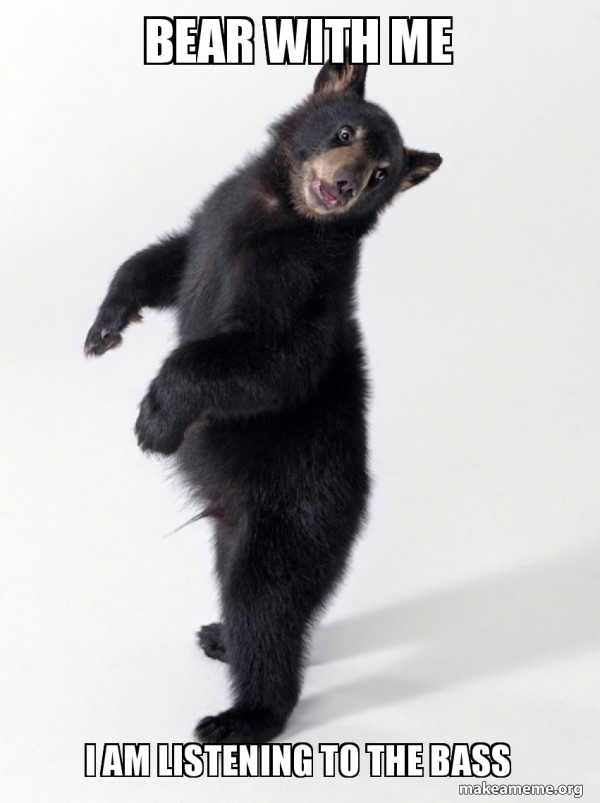 Bear with me I am listening to the bass - Super Bear'd Meme Generator