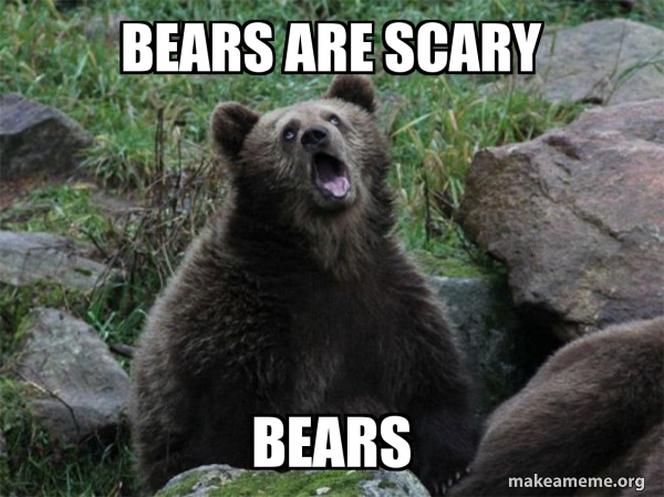 Bears are scary Bears - Sarcastic Bear Meme Generator