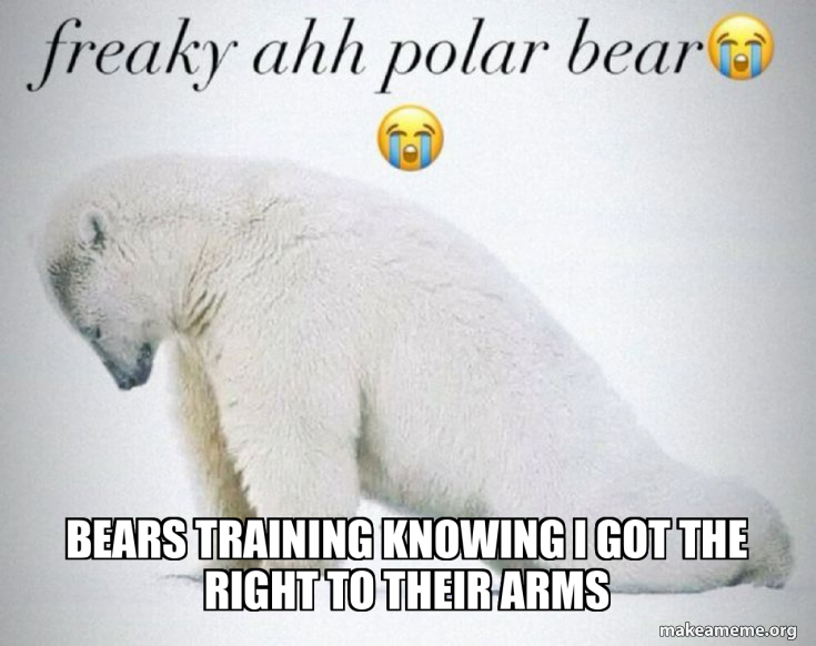 bears training knowing i got the right to their arms Meme Generator