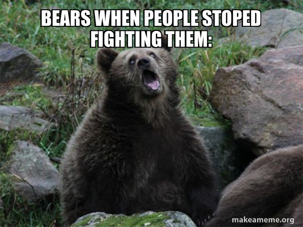 Bears when people stoped fighting them: - Sarcastic Bear Meme Generator
