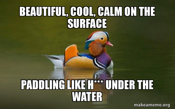 Beautiful, cool, calm on the surface Paddling like h*** under the water ...