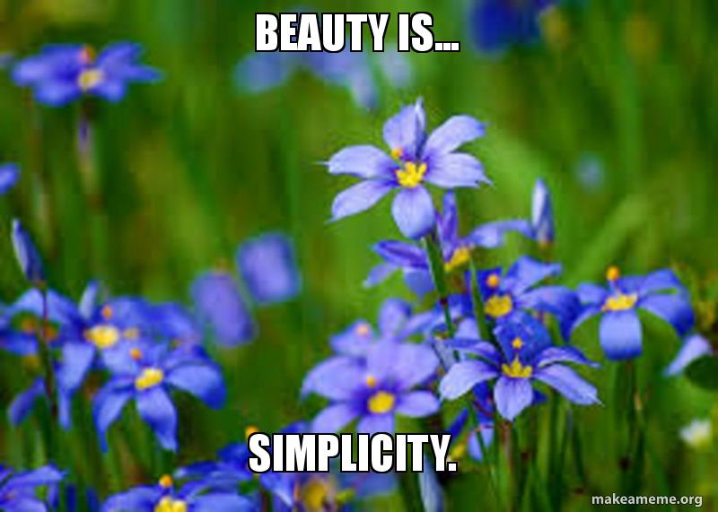 Beauty is... Simplicity. - [;poiuydcv Meme Generator