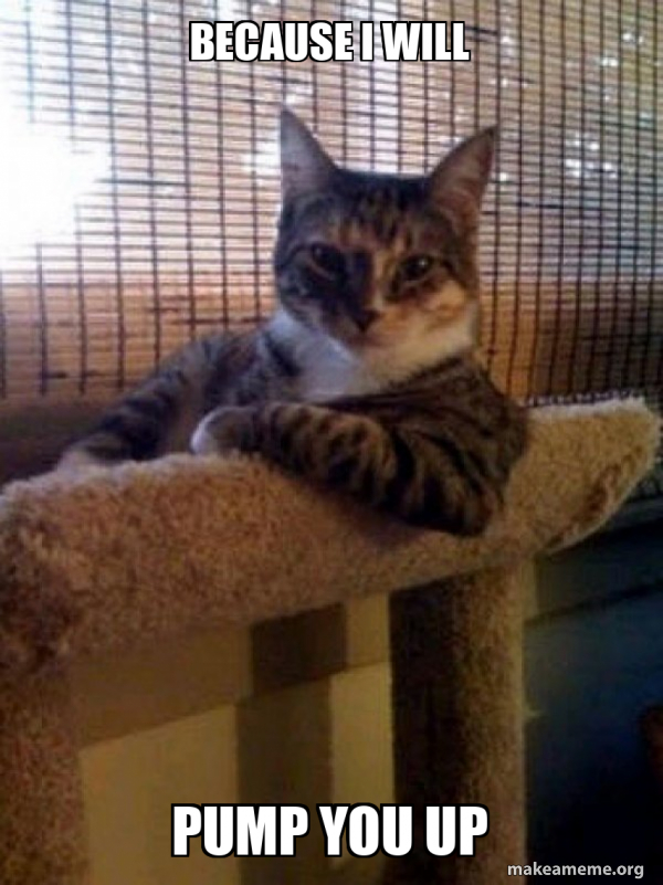 Because I will Pump you up - The Most Interesting Cat in the World Meme ...