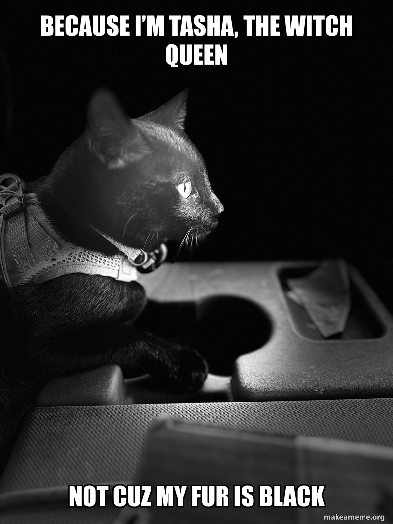 BeCAUSE I’M TASHA, the Witch queen not cuz my fur is black Meme Generator