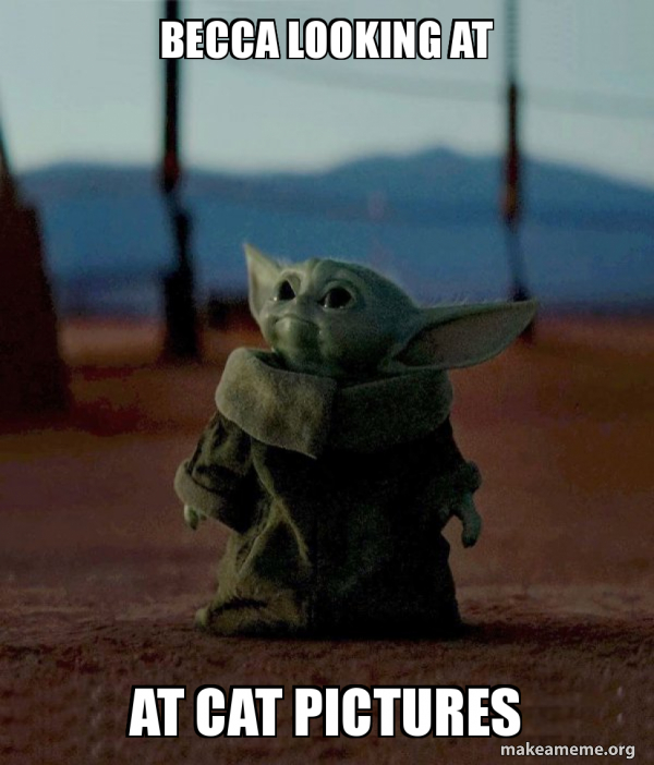 Becca looking at at cat pictures - Baby Yoda Meme Generator