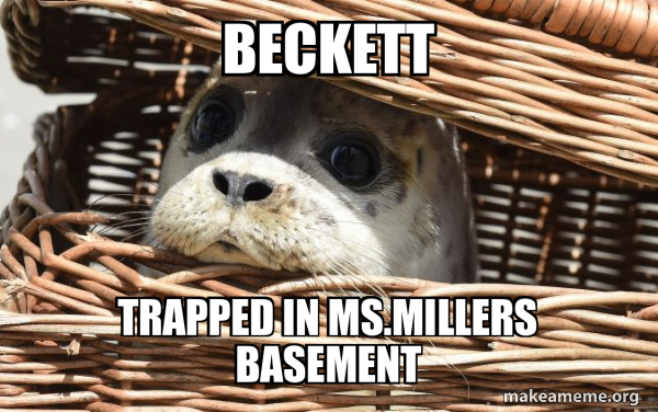 Beckett trapped in Ms.Millers basement - Impending Doom Seal Meme Generator