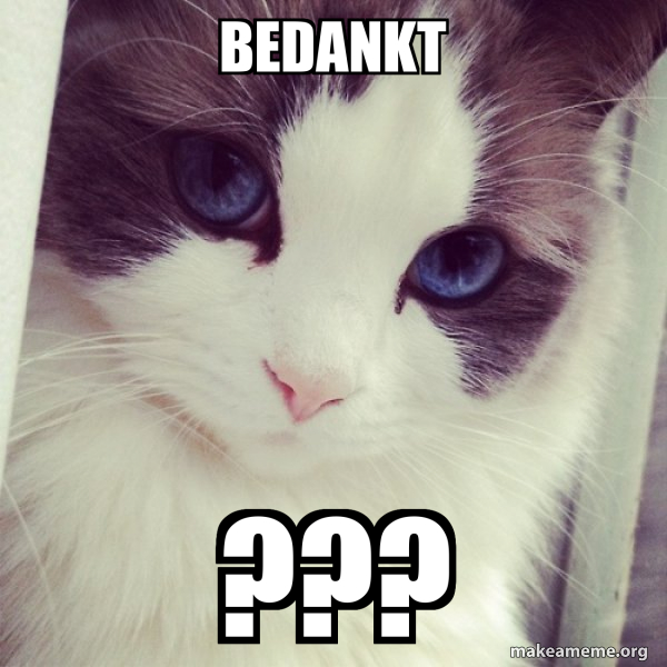 bedankt ??? - Ridiculously Photogenic Cat Meme Generator