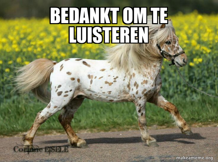 Bedankt om te luisteren Meme Generator
