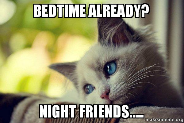 BEDTIME ALREADY? NIGHT FRIENDS..... - First World Cat Problems Meme ...