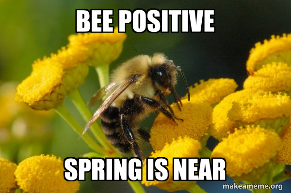 Bee Positive Spring Is Near - Good Guy Bee Meme Generator