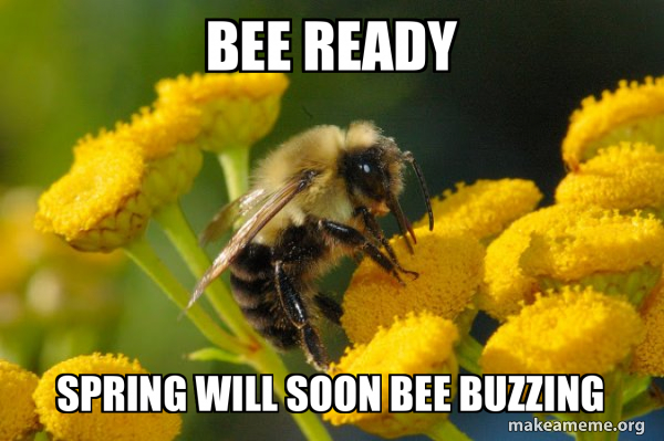 Bee Ready Spring Will Soon Bee Buzzing - Good Guy Bee Meme Generator
