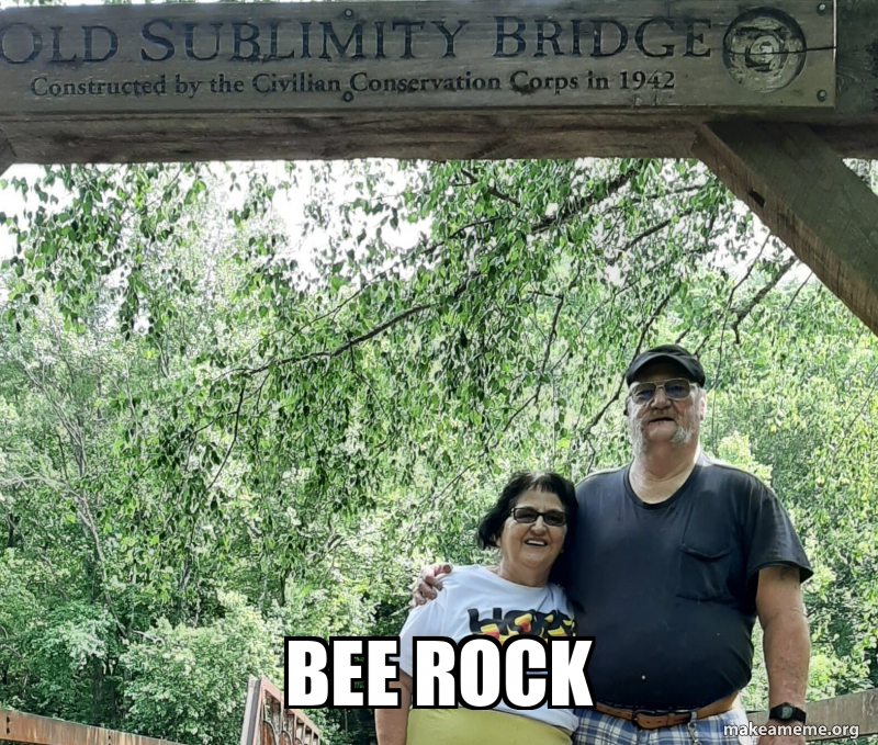bee rock Meme Generator