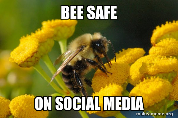 Bee Safe On Social Media - Good Guy Bee Meme Generator