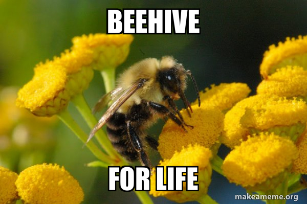 BEEHIVE for LIFE - Good Guy Bee Meme Generator