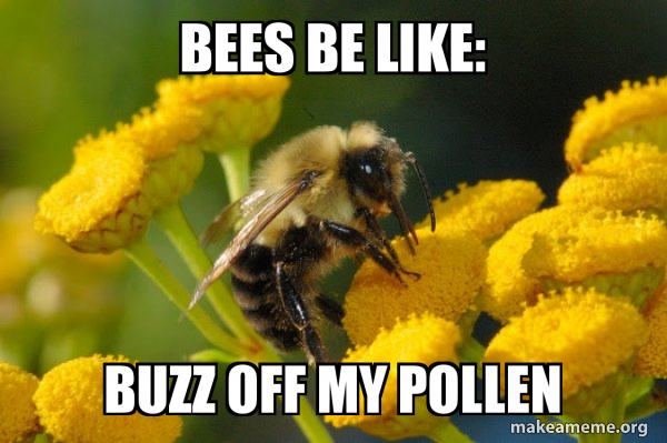 Bees be like: Buzz off my pollen - Good Guy Bee Meme Generator