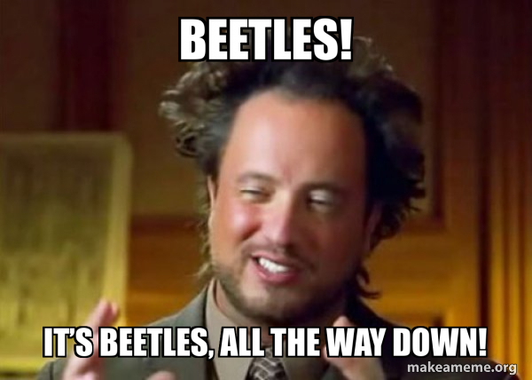 Beetles! It’s Beetles, all the way down! - Ancient Aliens - Crazy ...