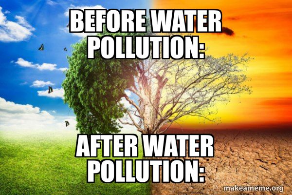 Before water pollution: after water pollution: - Climate Change ...
