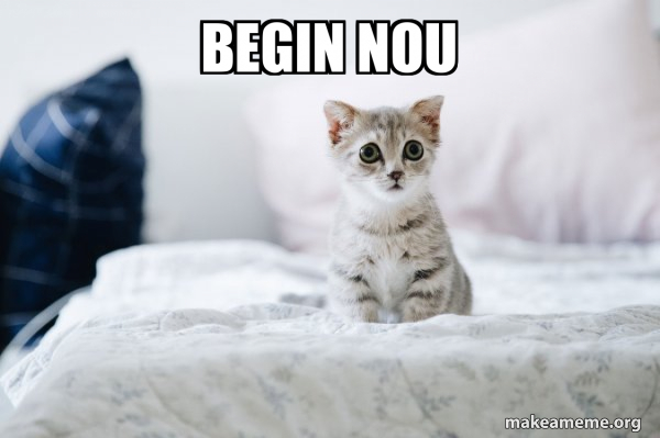 begin nou - Cute Kitten Meme Generator