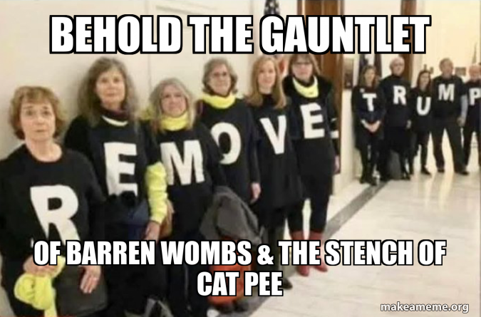 behold the gauntlet of barren wombs & the stench of cat pee Meme Generator