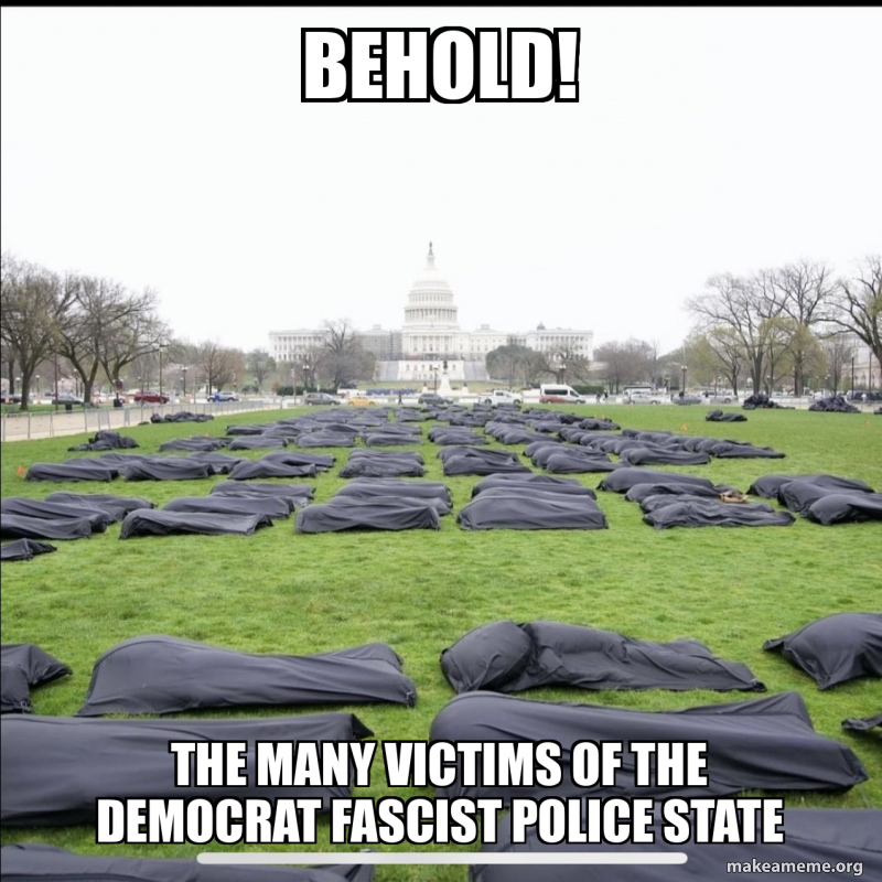 Behold! the many victims of the democrat fascist police state Meme ...