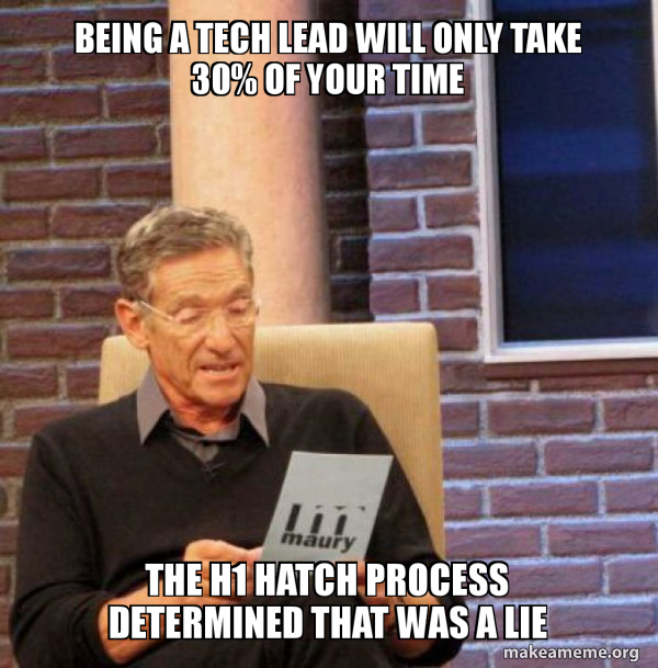 Being a tech lead will only take 30% of your time The H1 hatch process ...