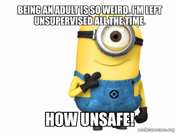 Being an adult is so weird. I'm left unsupervised all the time. How ...