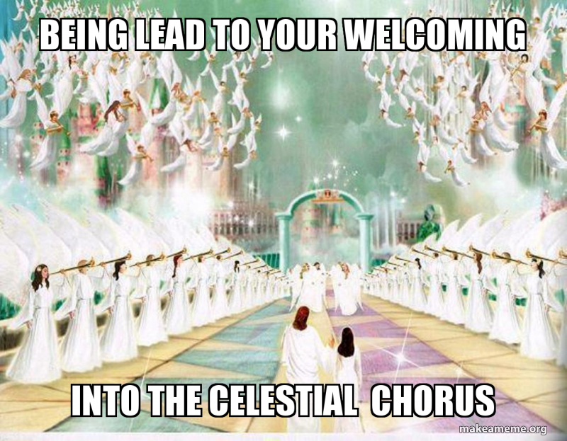 being lead to your welcoming into the celestial chorus Meme Generator