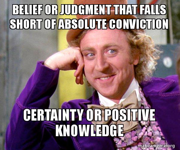 belief or judgment that falls short of absolute conviction certainty or ...