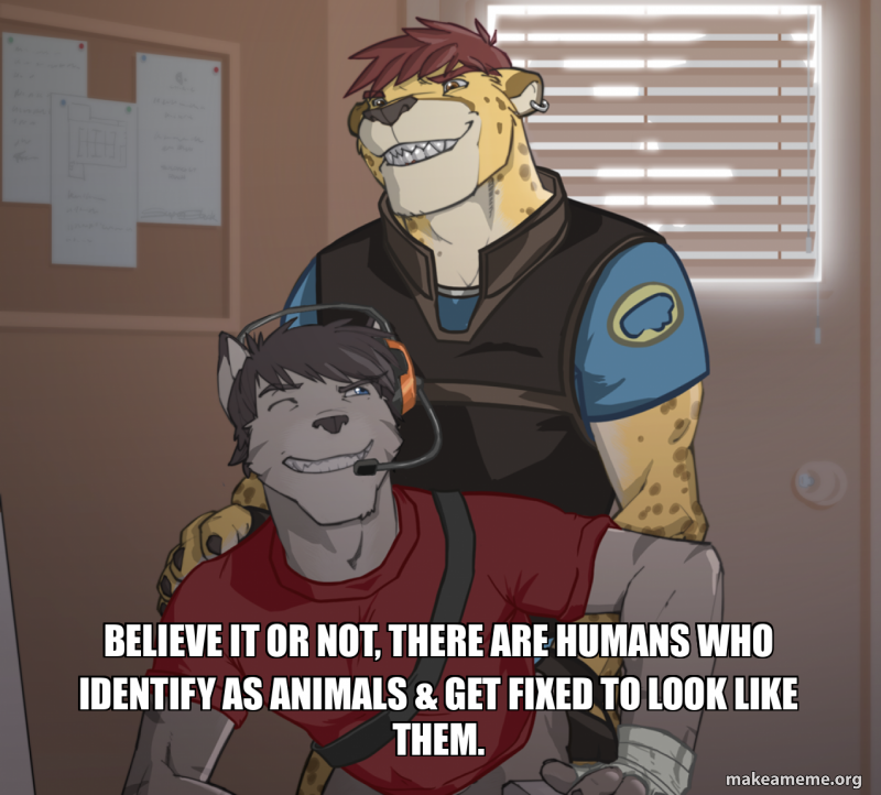 Believe it or not, there are humans who identify as animals & get fixed ...