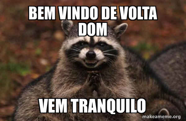 Bem vindo de volta DOM Vem tranquilo - Evil Plotting Raccoon Meme Generator