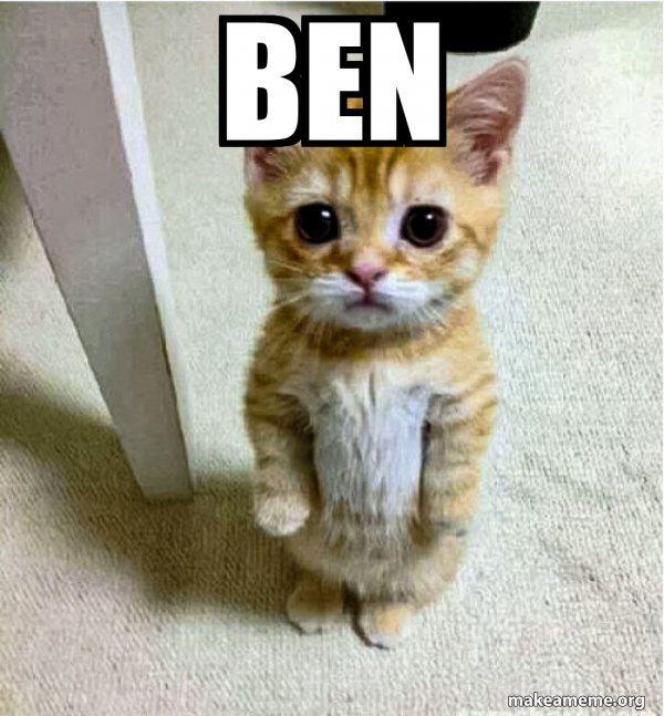 ben - Cute Cat Standing Meme Generator