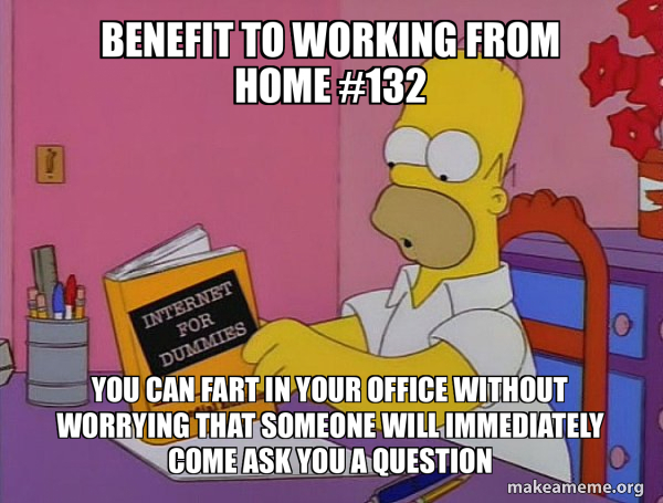 Benefit to working from home #132 You can fart in your office without ...