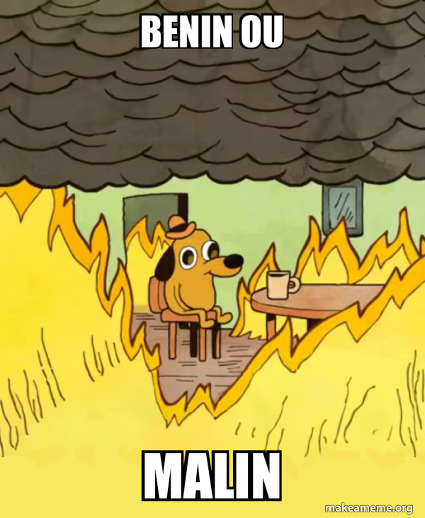 BENIN OU MALIN - This Is Fine Meme Generator
