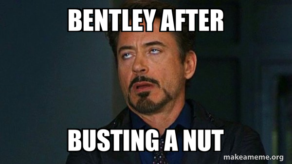 Bentley after busting a nut - Tony Stark Eye Roll Meme Generator