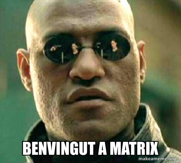 benvingut a matrix - Matrix Morpheus Meme Generator