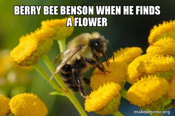 berry bee benson when he finds a flower - Good Guy Bee Meme Generator