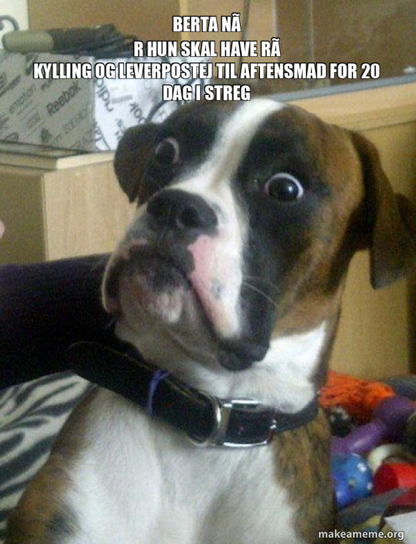 Berta når hun skal have rå kylling og leverpostej til aftensmad for 20 ...