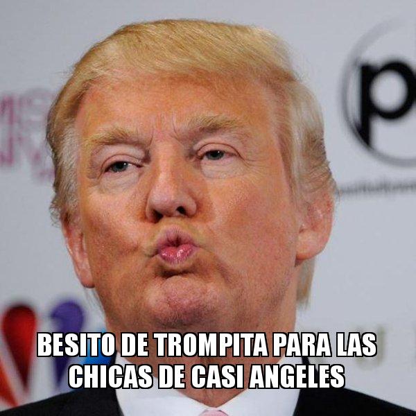 Memes De Trompita Meme Chill Out Lemur A Mi No Me Salgas Con Tus