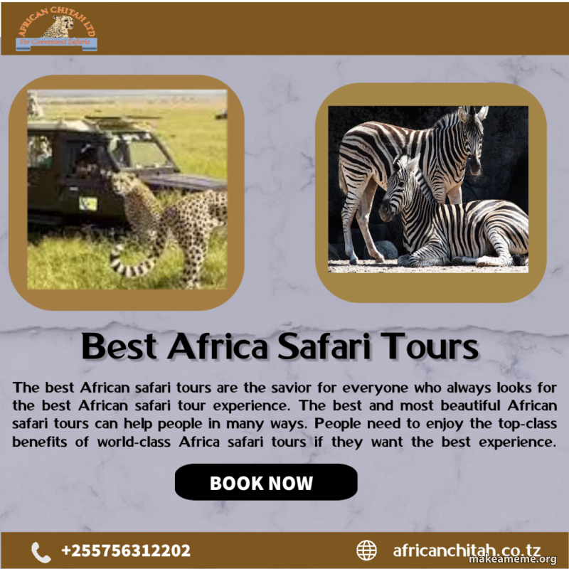 - Best Africa Safari Tours Meme Generator