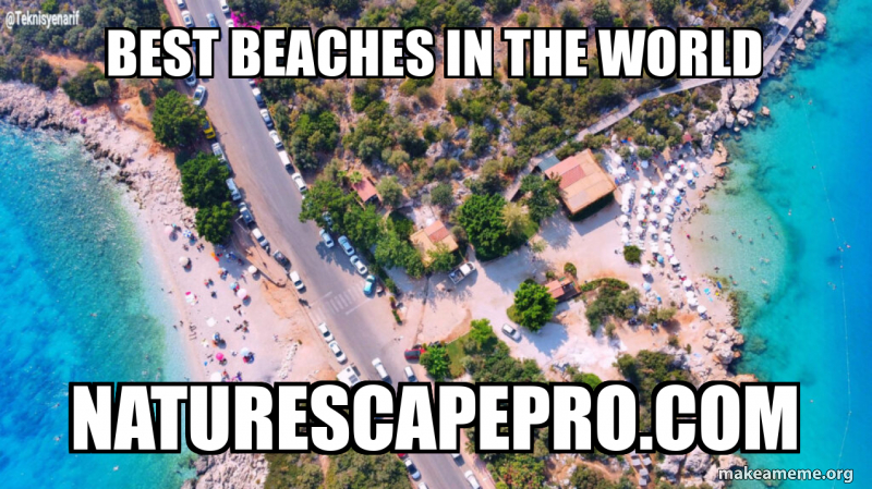 Best beaches in the World naturescapepro.com Meme Generator