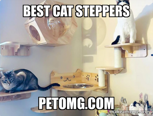Best Cat Steppers petomg.com - Best Cat Steppers Meme Generator